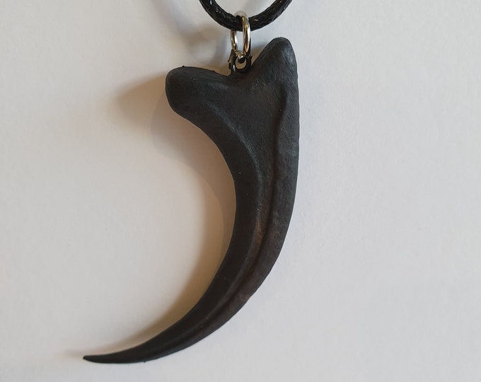 Raptor Claw Necklace. Velociraptor Pendant Unique Gift From the ...