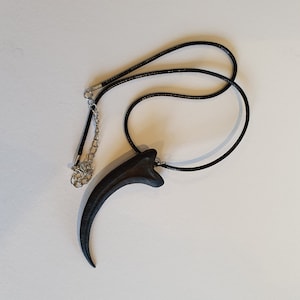 Raptor Claw Necklace. Velociraptor Pendant Unique Gift From the ...