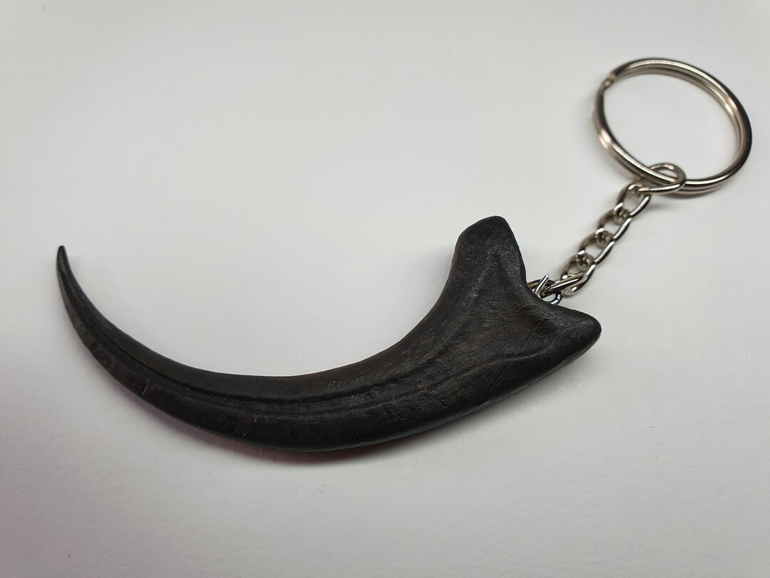 Raptor Claw. Velociraptor Claw Keyring/keychain From the Jurassic ...