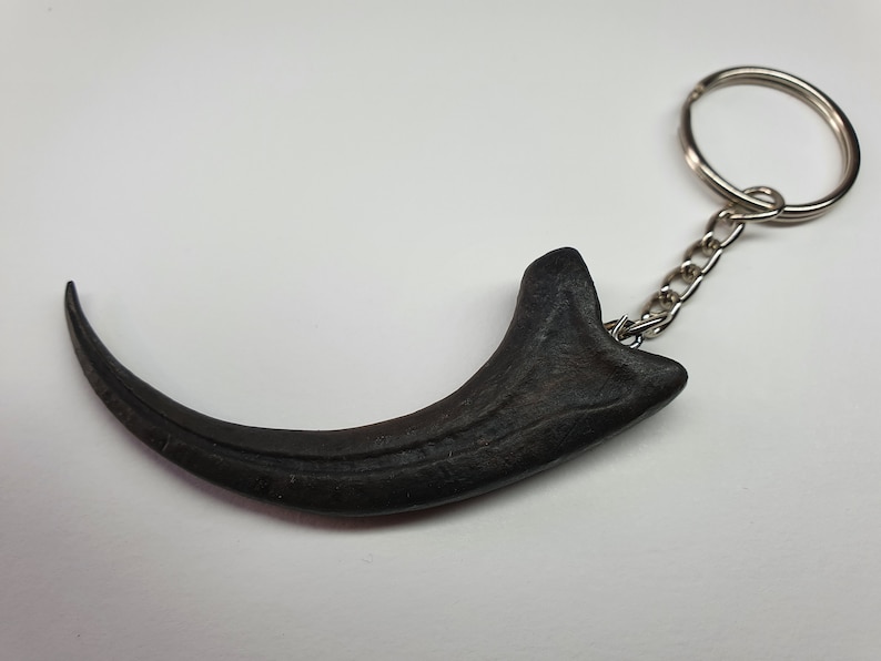 Raptor Claw. Velociraptor Claw Keyring/keychain From the Jurassic ...