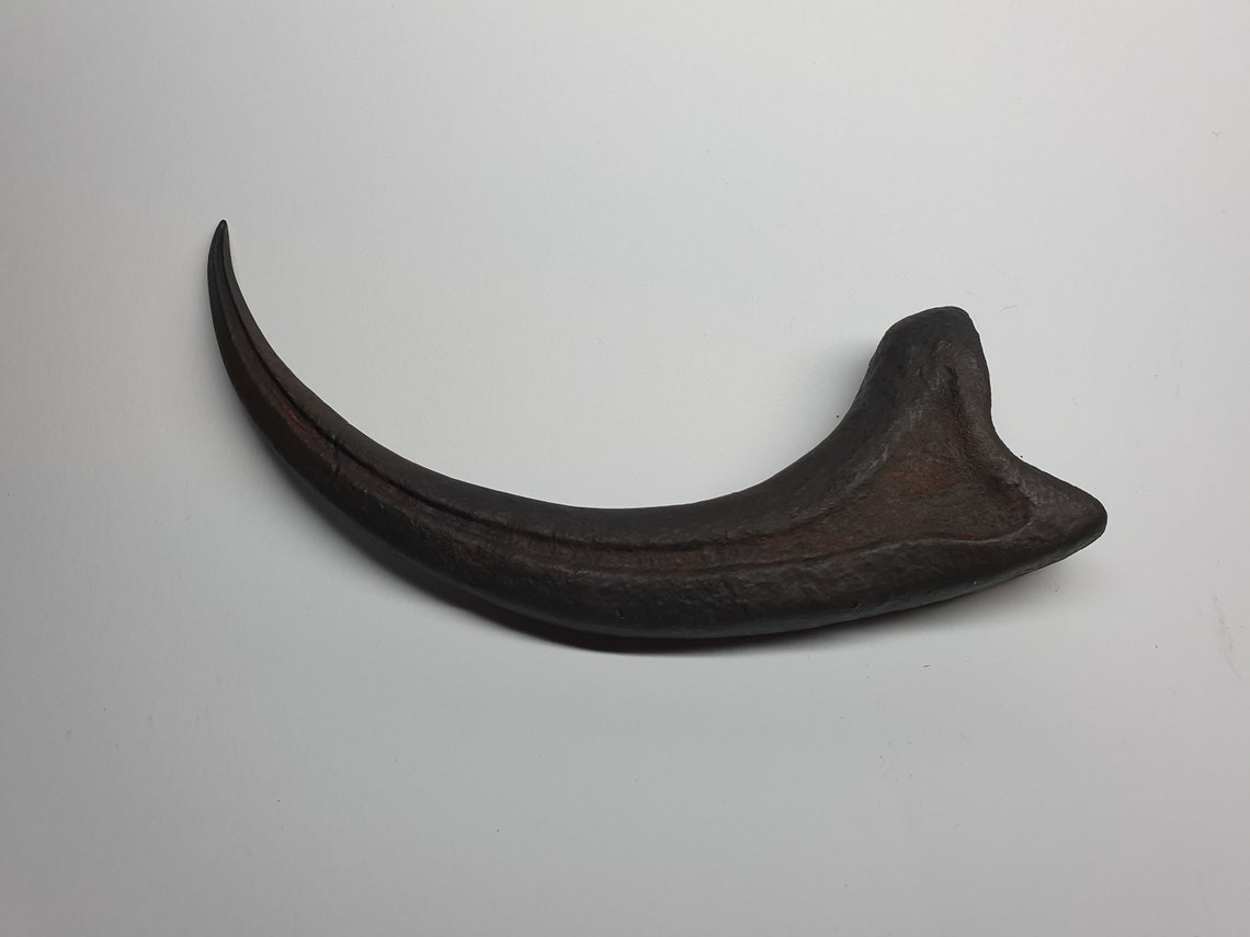 Raptor Claw Display Stand. Velociraptor Claw Movie Prop From | Etsy