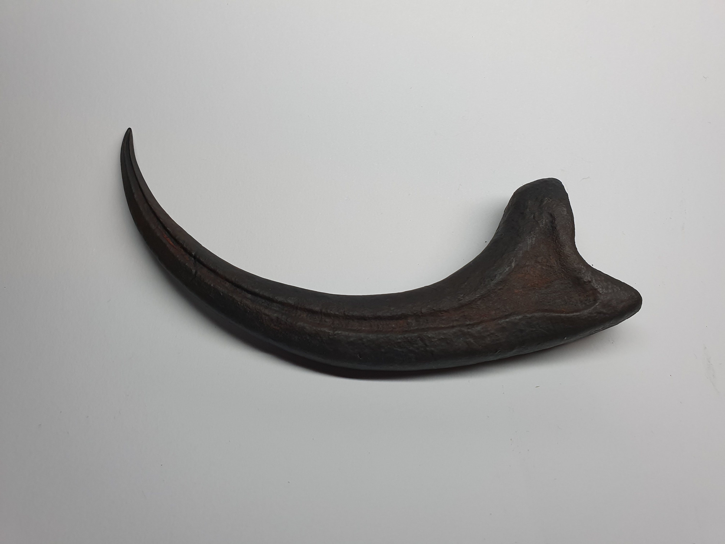 Raptor Claw + Display Stand. Velociraptor Claw Movie Prop From the ...