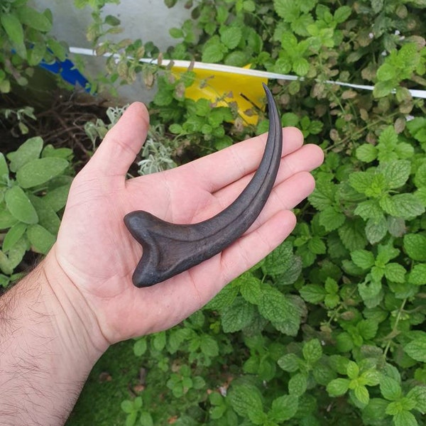 Raptor Claw - Etsy