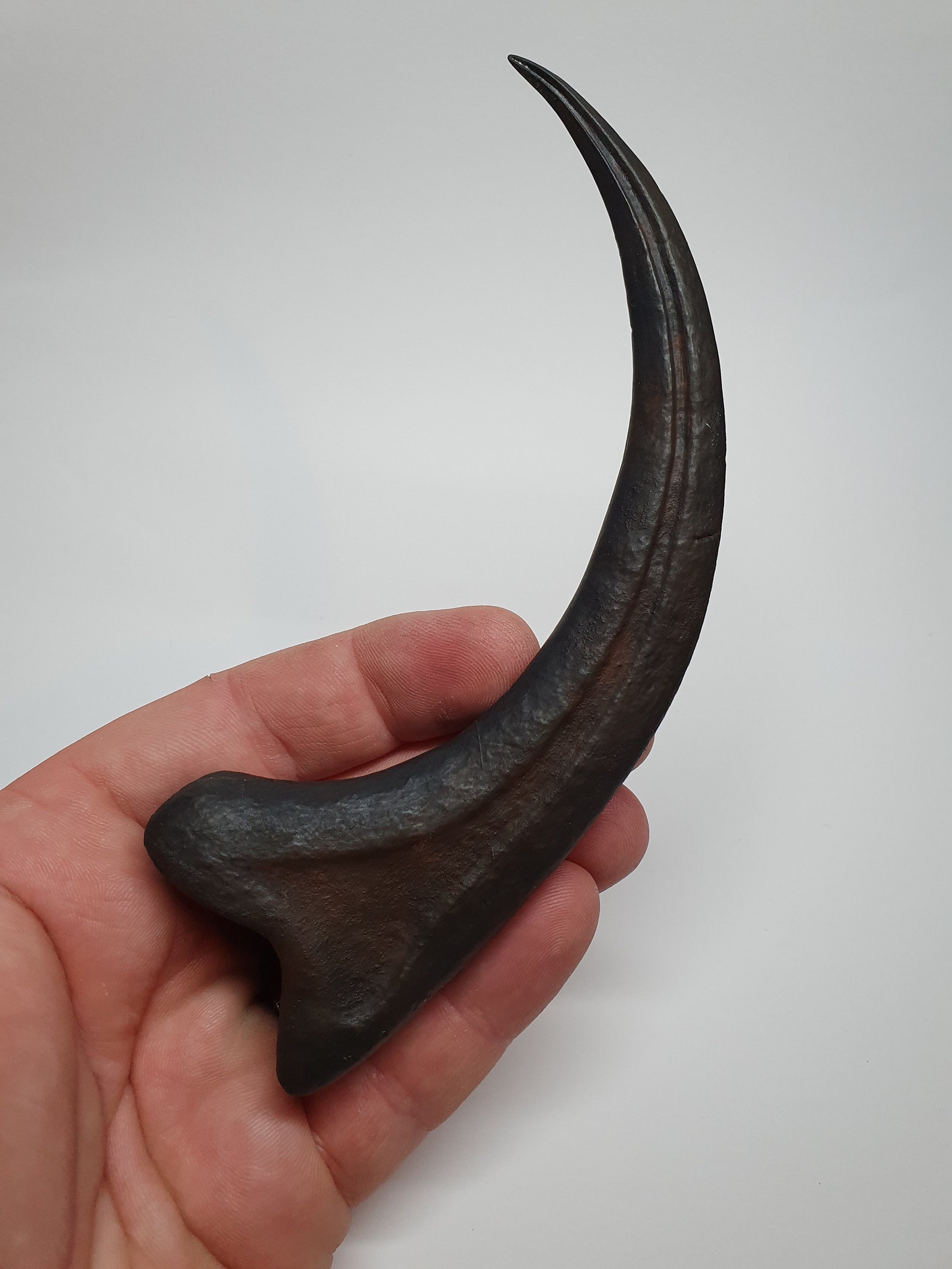 Raptor Claw + Display Stand. Velociraptor Claw Movie Prop From the ...