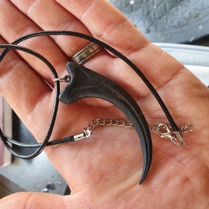 Raptor Claw Necklace. Velociraptor Pendant Unique Gift From the ...