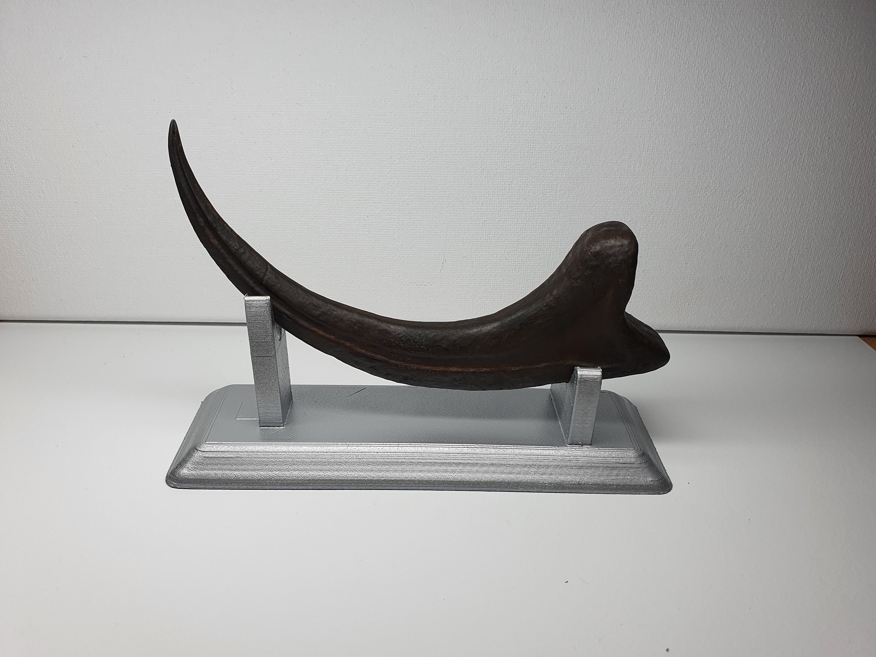 Raptor Claw Display Stand. Velociraptor Claw Movie Prop From | Etsy