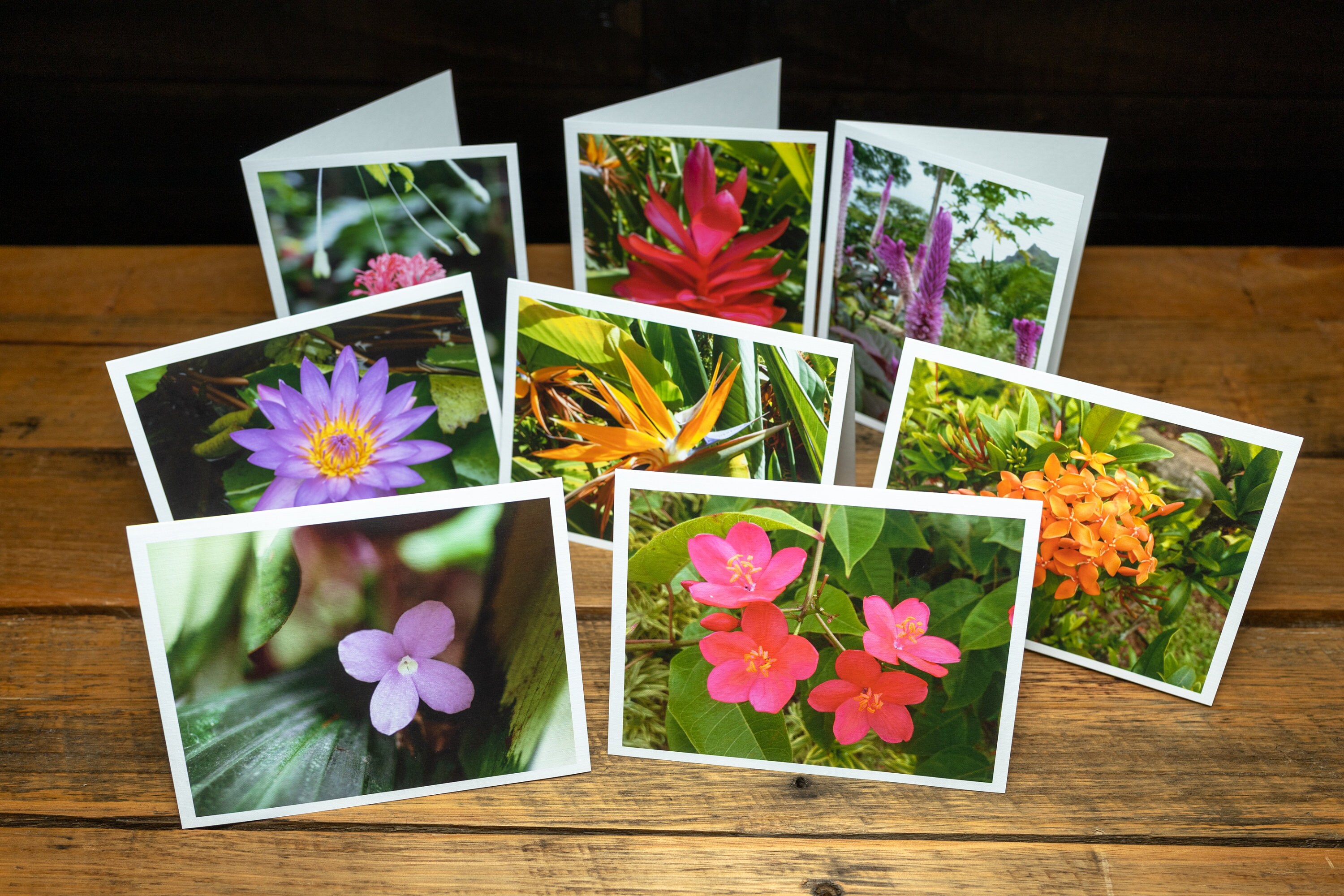 Tropical Flowers - Bifold Note Card Set With Envelopes - Etsy