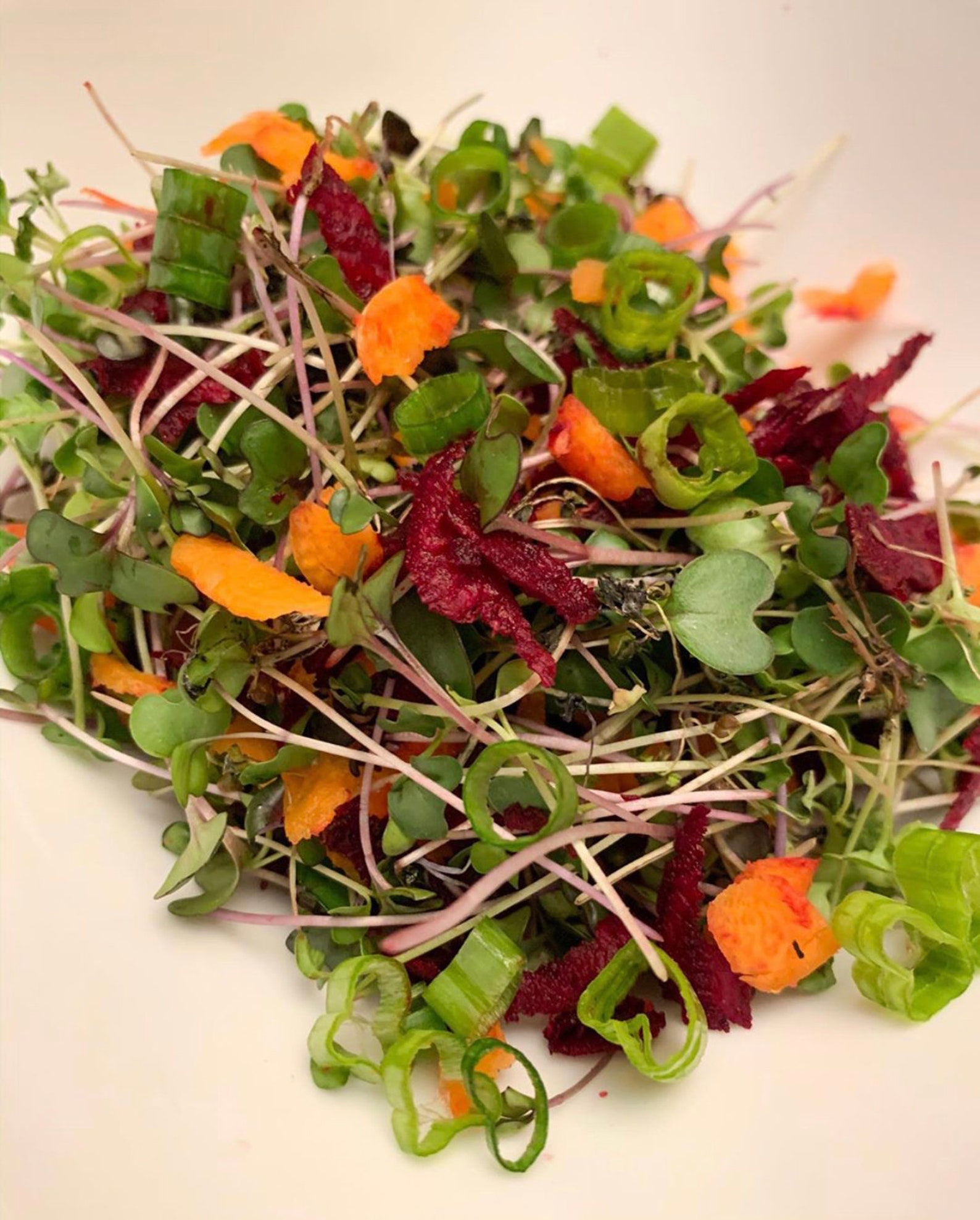 Basic Salad Mix Microgreen Kit - Etsy