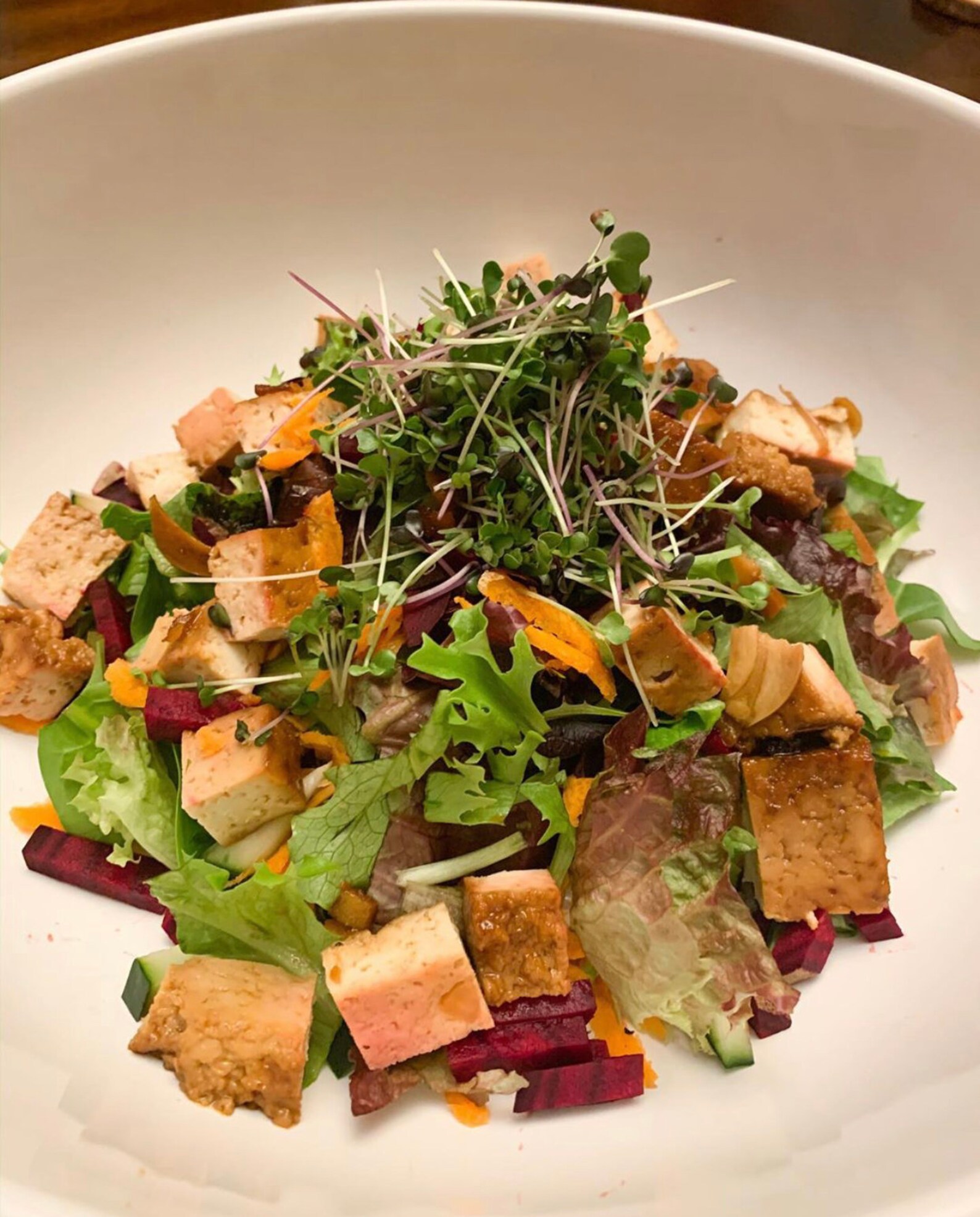 Basic Salad Mix Microgreen Kit - Etsy