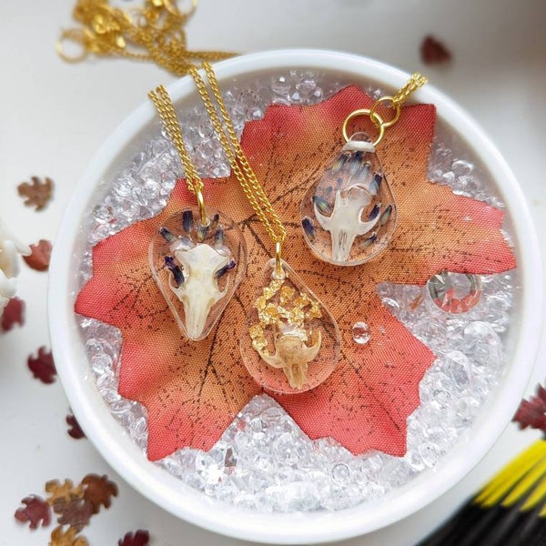 Curio Necklace - Etsy
