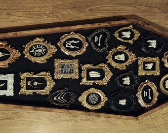 Mini Curio Frame. Bones. Bone Display. Bone Home Decor. Framed Bones ...