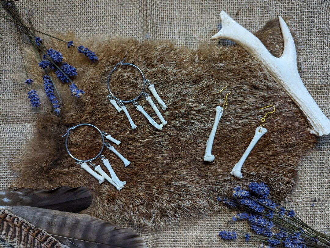 Squirrel Pelvis Earrings. Gold Hook Earrings. Real Bone - Etsy
