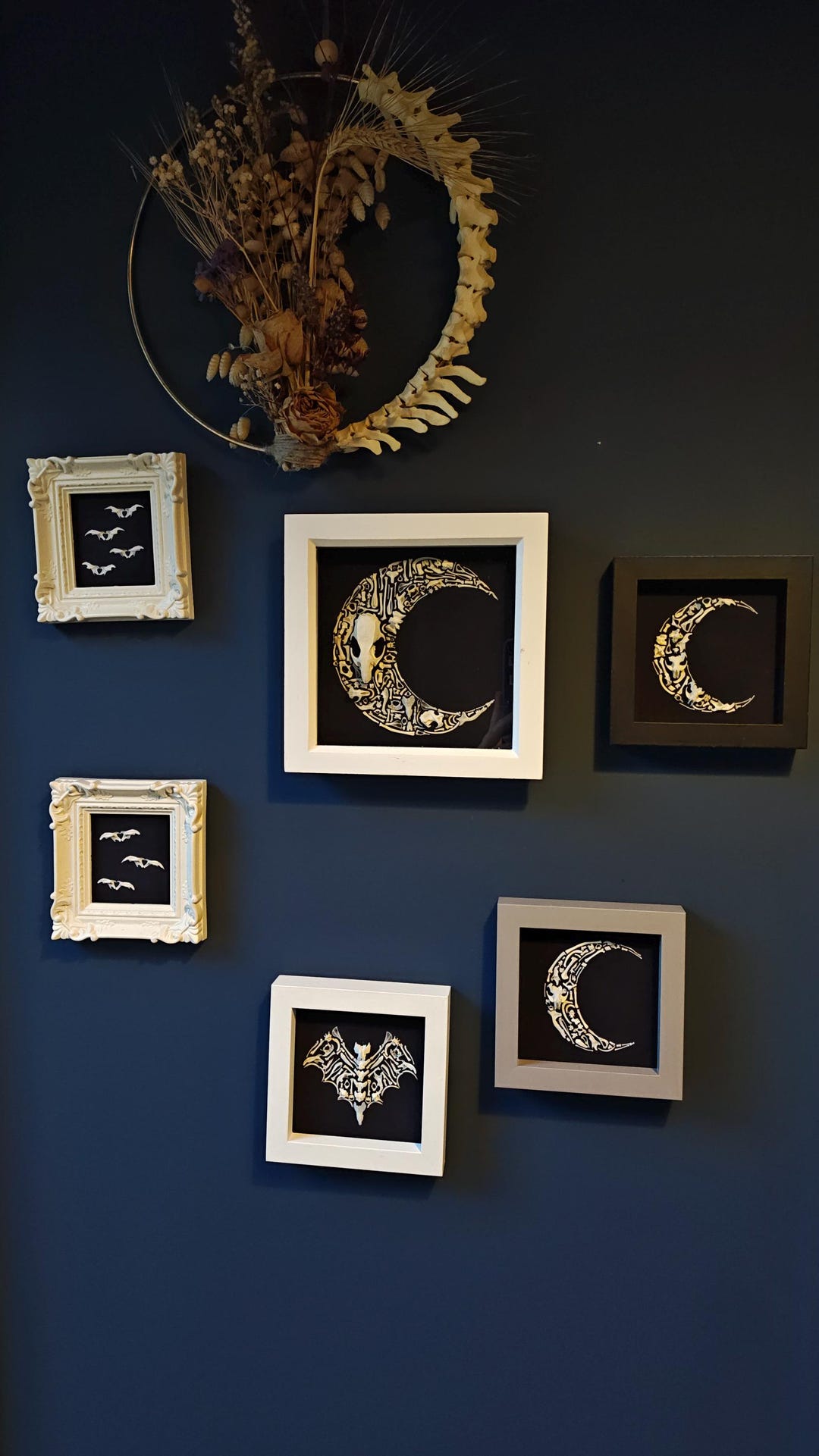 Bone Displays. Mole Bone Displays. Bone Home Decor. Bone Wall Art ...