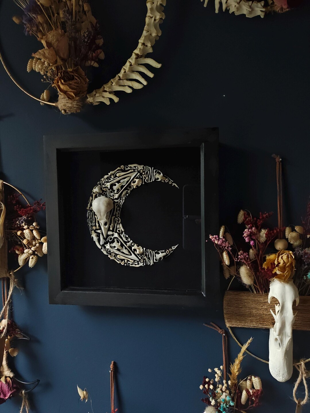 Moon Phase Bone Display. Moon Phase. Bones. Bone Display. Bone Moon ...