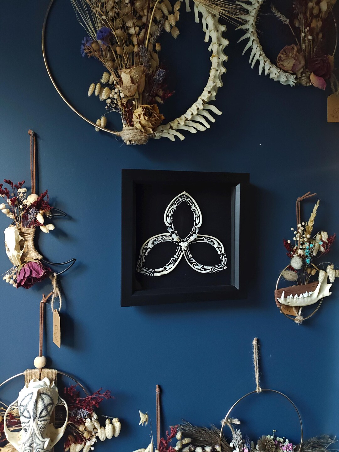 Bone Displays. Pumpkin Bone Displays. Bone Home Decor. Bone Wall Art ...