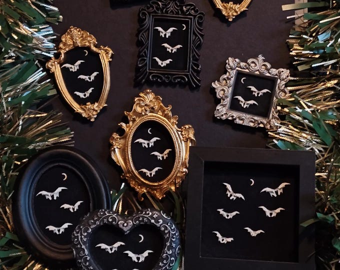 Mini Curio Frame. Bones. Bone Display. Bone Home Decor. Framed Bones ...