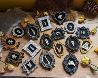 Mini Curio Frame. Bones. Bone Display. Bone Home Decor. Framed Bones ...