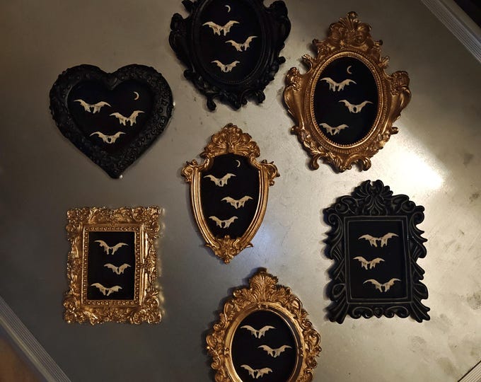 Mini Curio Frame. Bones. Bone Display. Bone Home Decor. Framed Bones ...