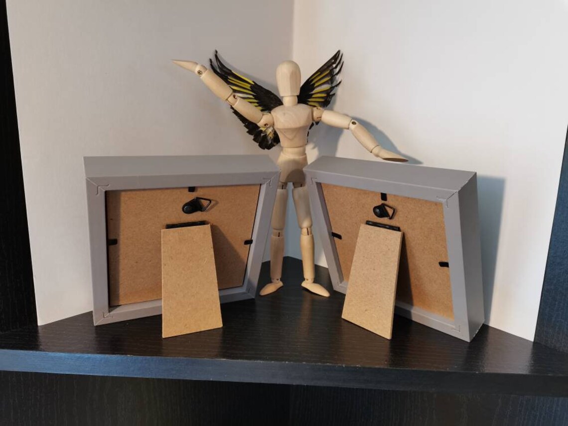 Real Mole Bone Displays. Bone Display. Mounted Mole Bones. | Etsy UK