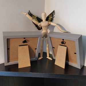 Real Mole Bone Displays. Bone Display. Mounted Mole Bones. - Etsy UK