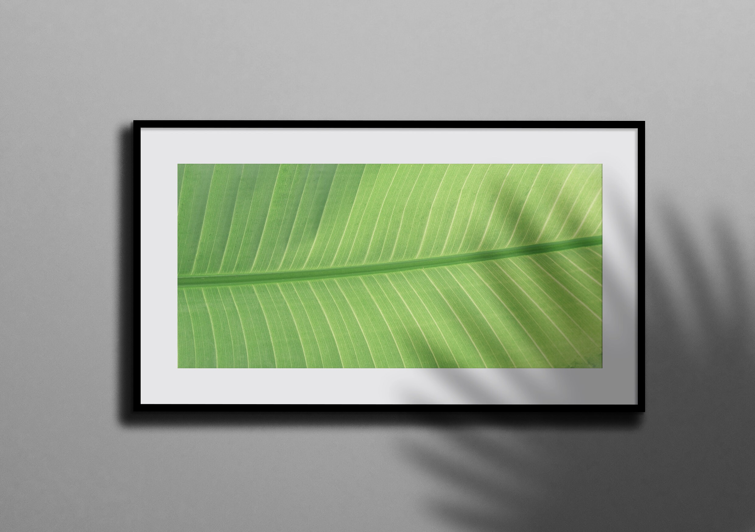 Texture Leaves Big Green Leaf Printable Art Instant Download - Etsy