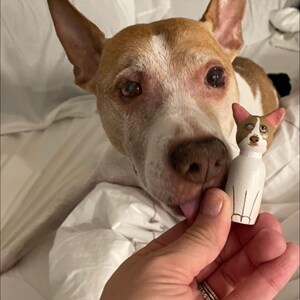 CUSTOM Dog Peg Doll | Pet | Personalized Pet Peg Doll | Hand Painted ...