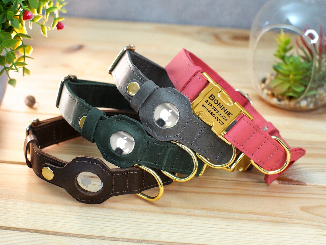 Personalized Leather Dog Collar With AirTag Holder, Engraved AirTag Dog ...