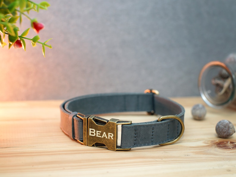 Leather Dog Collar With Metal Buckle Personalized Dog Collar - Etsy