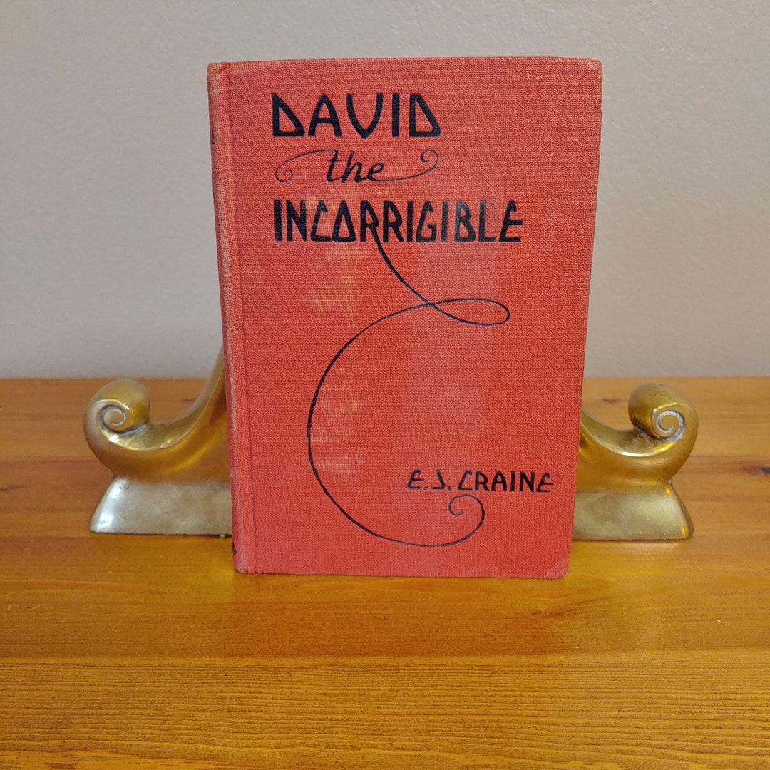 David the Incorrigible E. J. Craine, Rae D. Henkle Co., Inc. 1928 ...