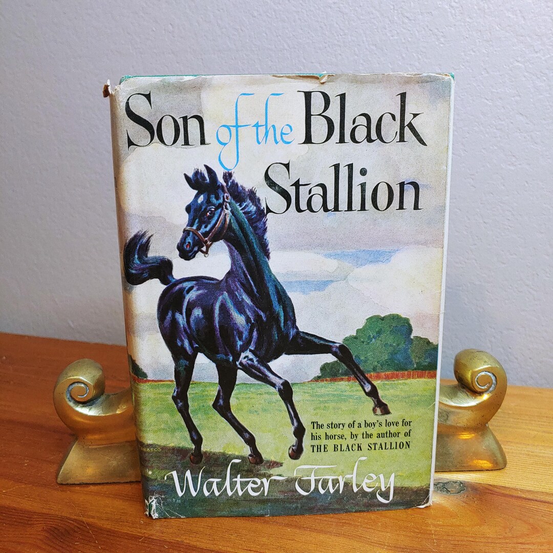 Son of the Black Stallion, Walter Farley, HC/DJ Random House ...