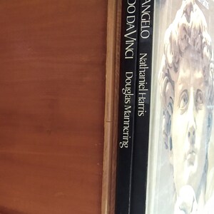 Michelangelo and Leonardo Da Vinci, Set of 2 Art Books. Free Shipping ...