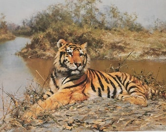 Original Vintage Print by David Shepherd 1985. Tiger Fire. Wall Art ...