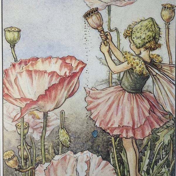 Poppy Fairy - Etsy