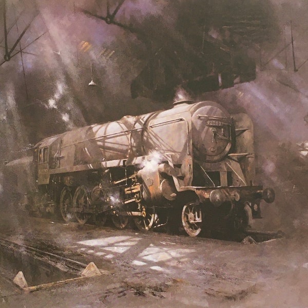 Original Vintage Print by David Shepherd 1985. the Welcome Storm ...
