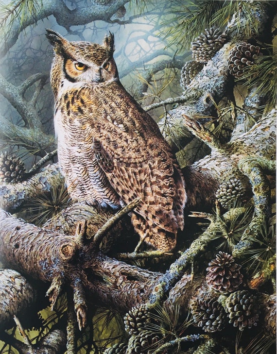 The Great Horned Owl. Original Vintage Colour Print Of Birds | Etsy