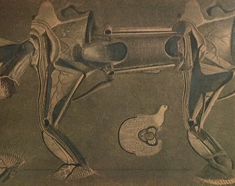 Max Ernst Chess - Etsy