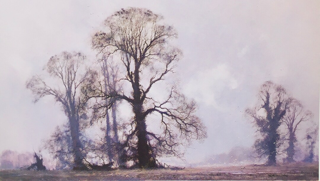 Original Vintage Print by David Shepherd 1985. Winter Elms. Elm Trees ...