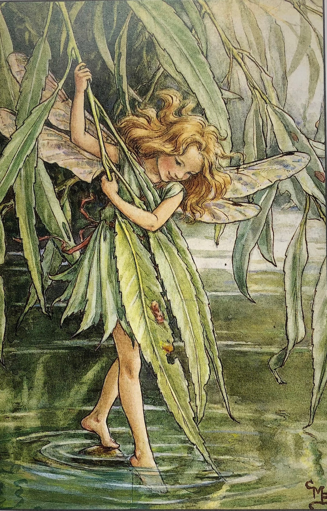 Original Vintage Print 1995 by Cicely Mary Barker. the Willow Fairy ...