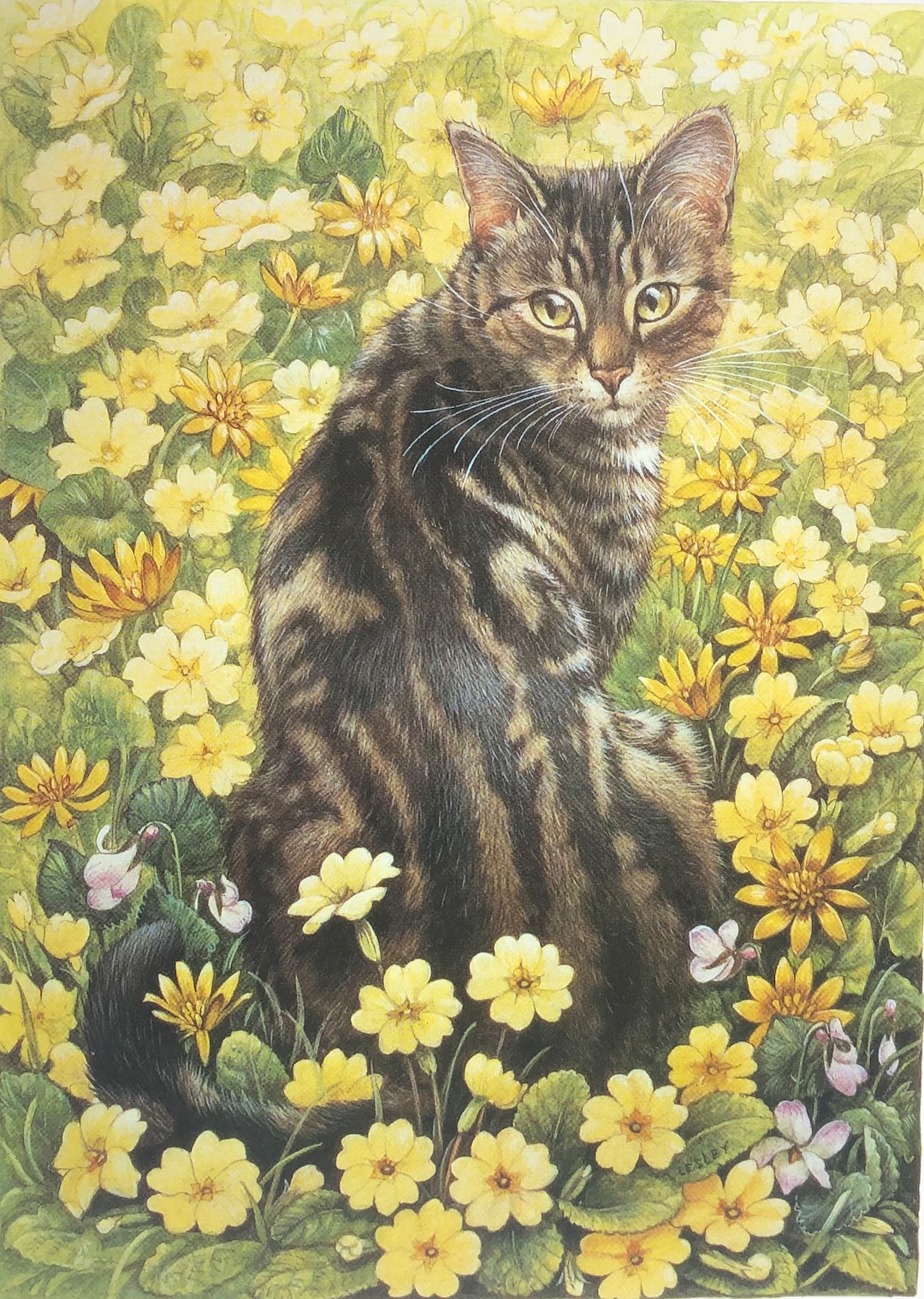 Original Vintage Print 1989 by Lesley Anne Ivory A Cats Example. Cat in ...