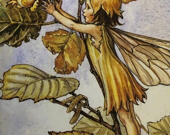 Flower Fairies: the HAZEL-NUT FAIRY Vintage Print C1930 by Cicely Mary ...