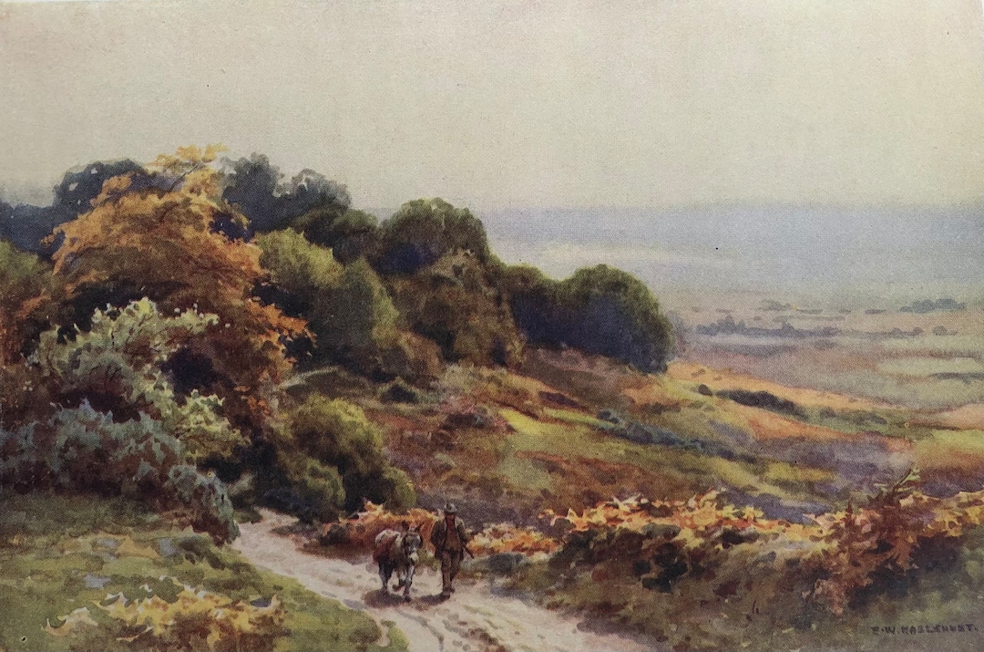 Original Vintage Small Print by E W Haslehust 1912. New Forest ...