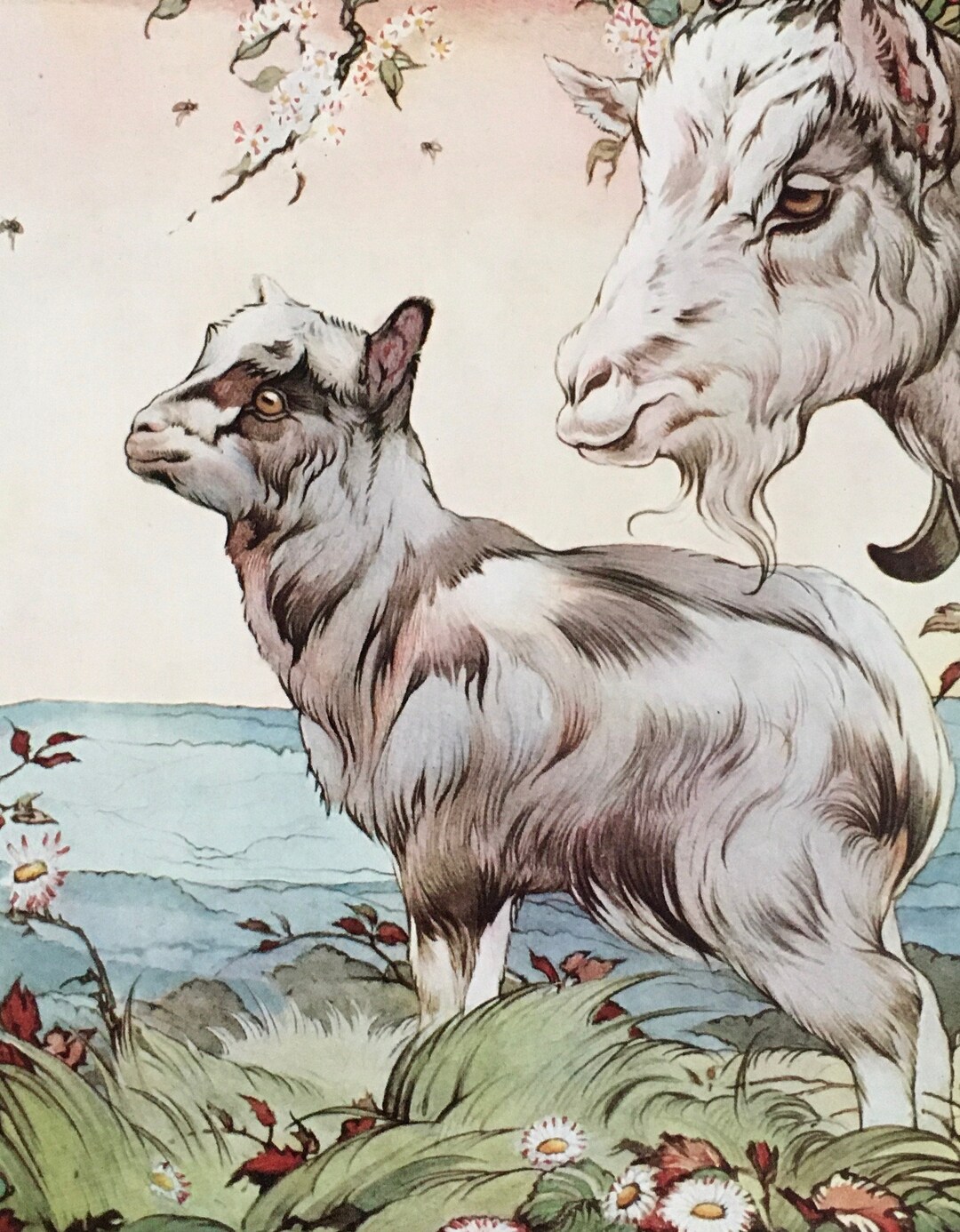 Original Vintage Print by E J Detmold 1920. the Kid, Goats. Victorian ...