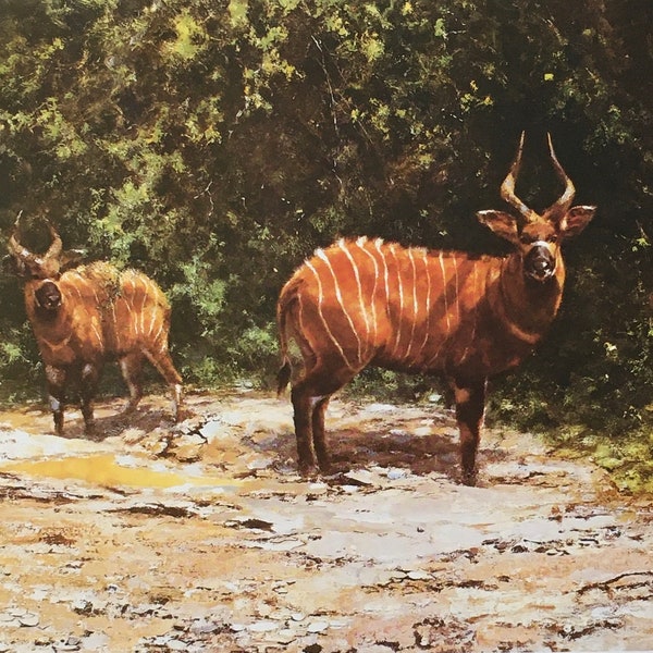 African Wildlife Art - Etsy