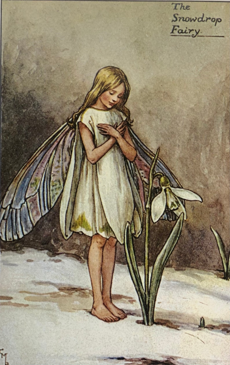Custom survived: Snowdrop candlemas folklore | In search of traditional ...