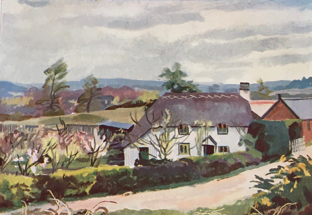 Original Vintage Print by Stephen Bone 1949. Spring in the New Forest ...