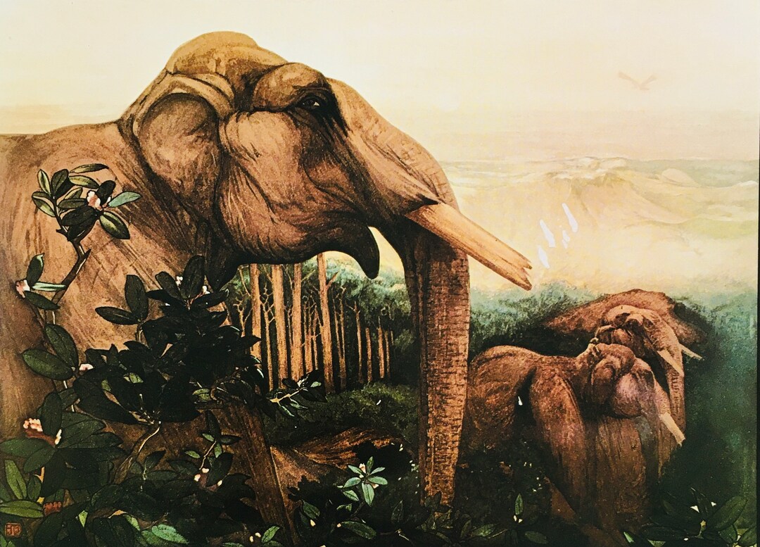 Impresión vintage original de Detmold 1976 Toomai Of The Elephants ...