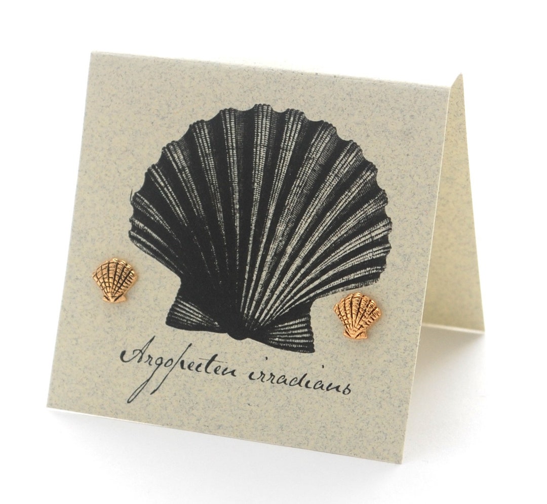 Scallop Shell Studs - 14k Gold Over Sterling Silver - Etsy