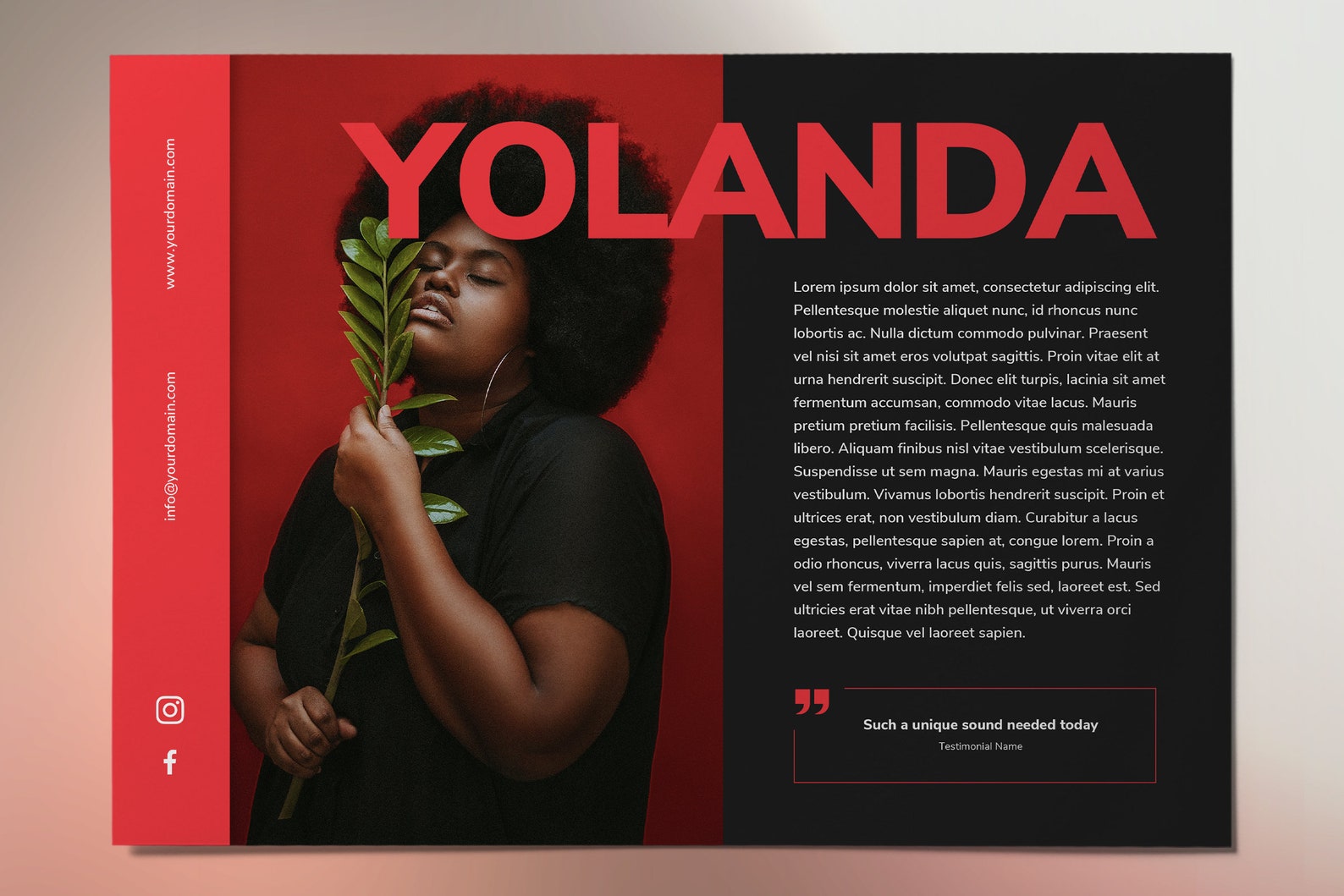 3-page Band Press Kit | Media Kit Template for Musicians | Press Kit ...