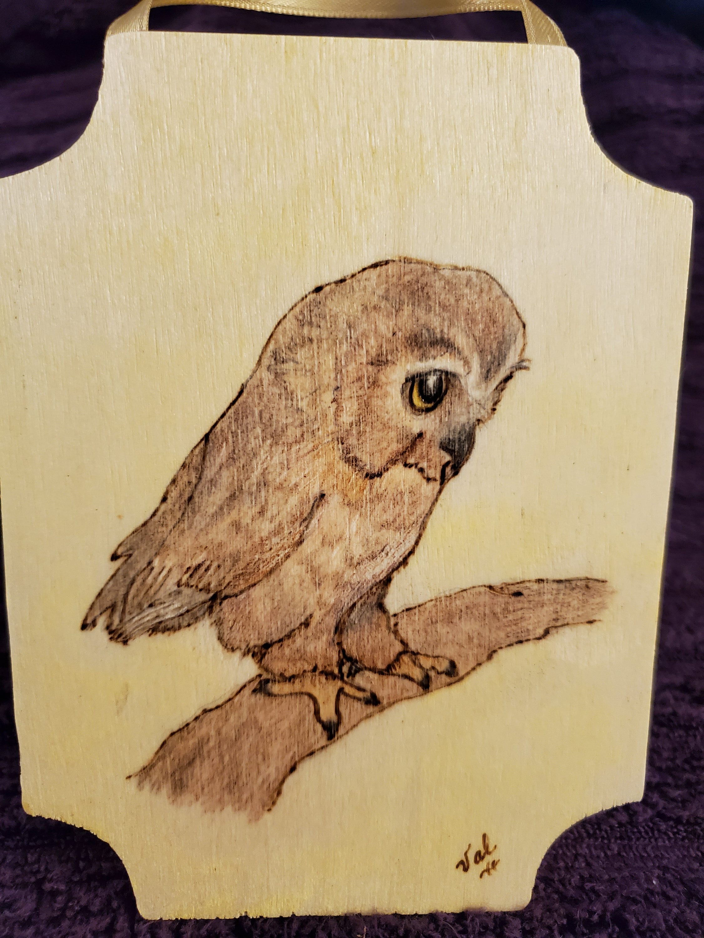 Owl Hanging Wood Plaque - Etsy
