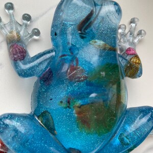 Large Deocrative See-through Resin Frogs - Etsy